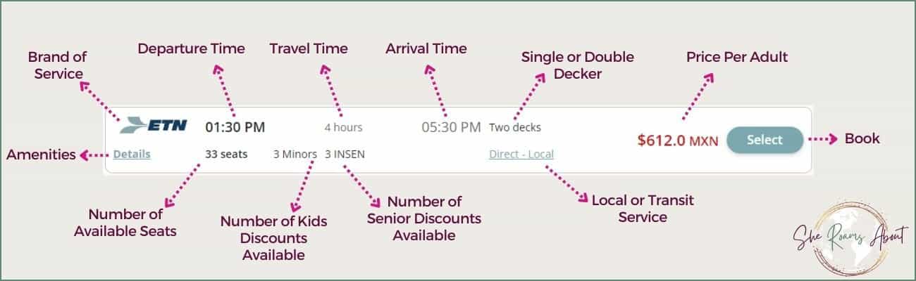 Ultimate Mexico Bus Travel Guide 2023